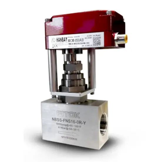 MCM-000XX-3-NBSS-FNS16-OR-Y | Rotork