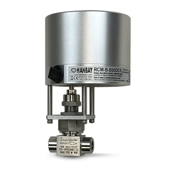 RCM-000XX-3-SS-6NBSW8T-G | Rotork